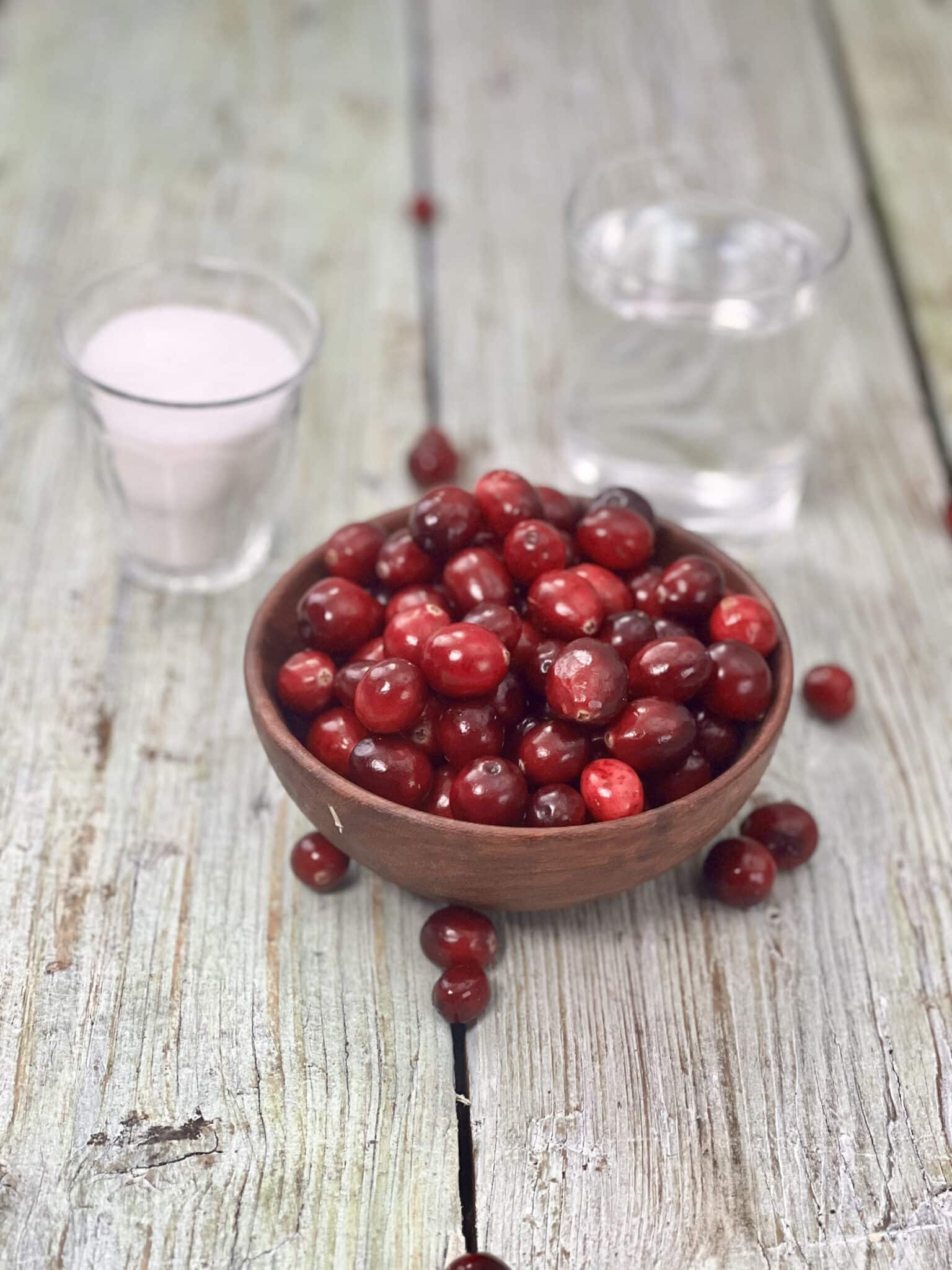 Easy Cranberry Jam Recipe - Let's Go Tomato